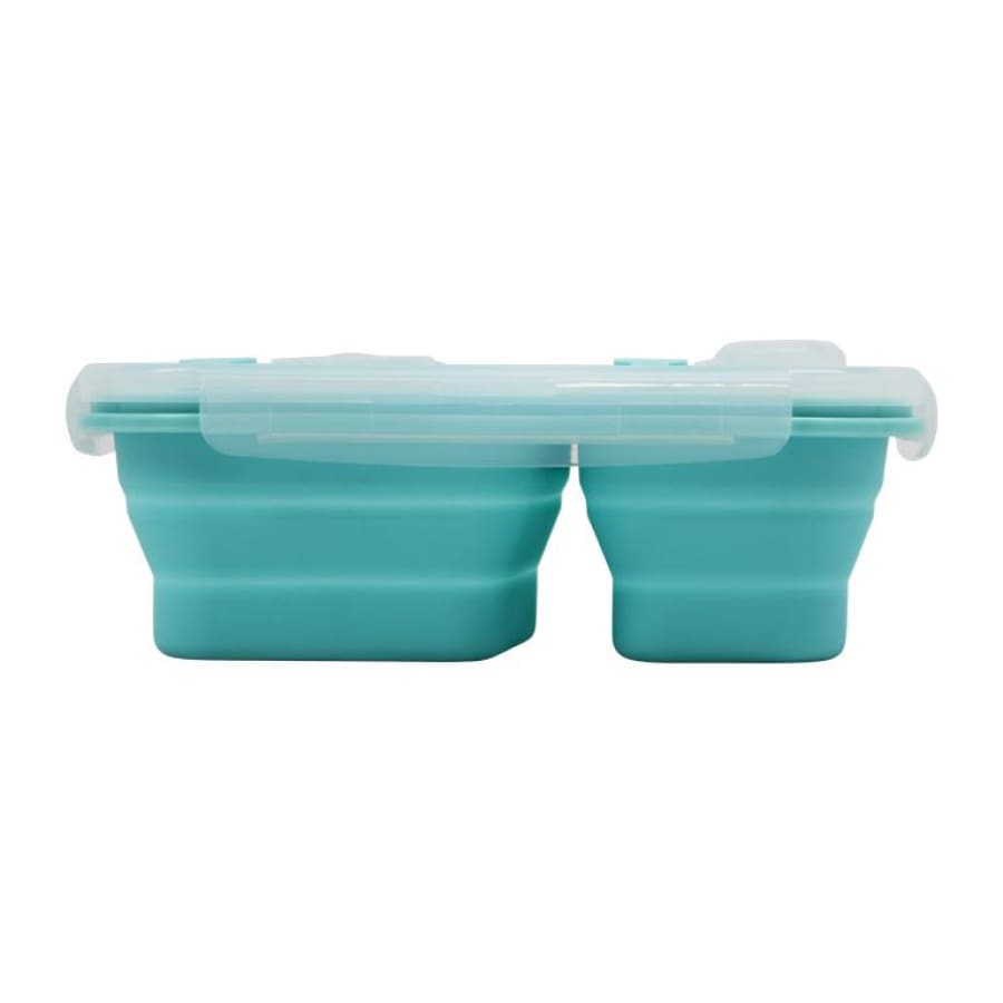 Portion Control Bento Lunch Box, Storage Container & Plate by Bariatri ...